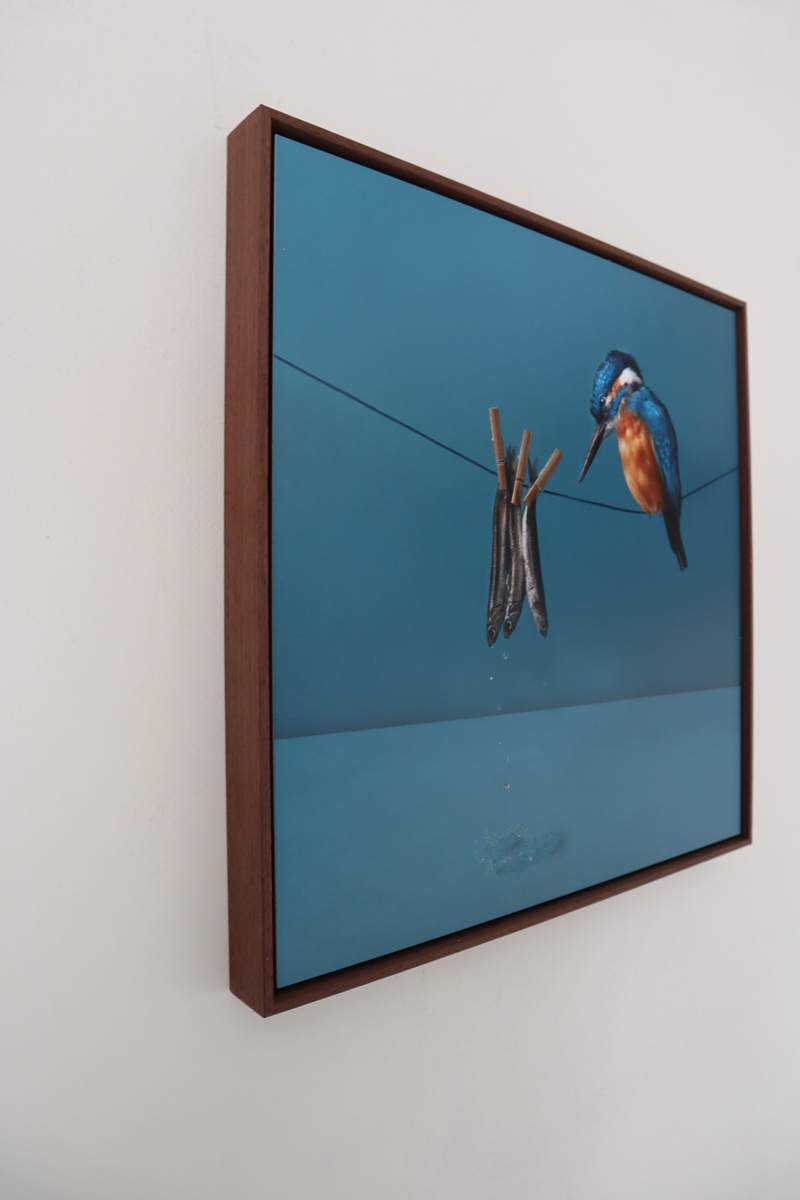 Kunst: King Fishing - Sillegallery